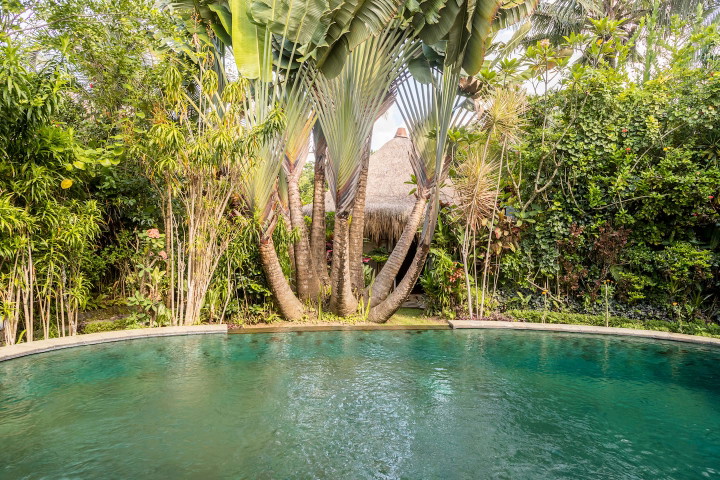 Bajo At Rumah Semanggi - Two-story Bungalow - Bali