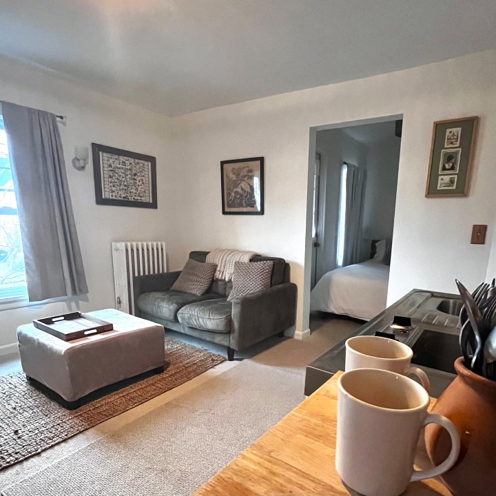 Andes Suite - Stylish, Pets-ok, Walk To Downtown - Geneva, NY