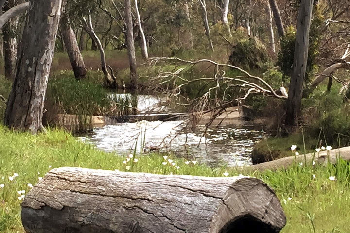 Cygnet River Studio - Kangaroo Island