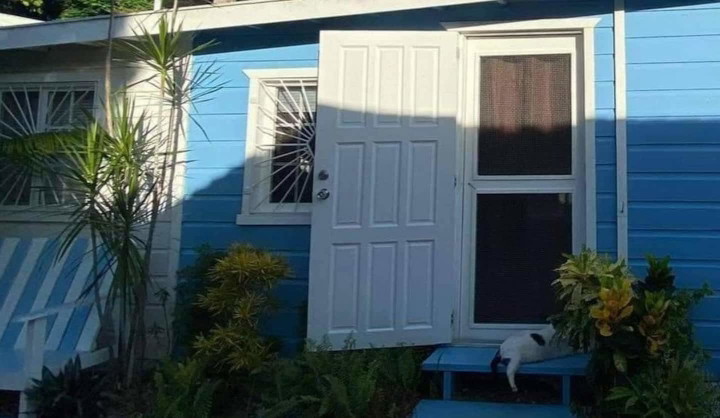 Top Location: Comfortable, Cozy, Small Apartment - Belize