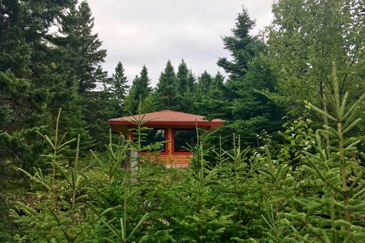 Firefly (Private Rustic Log Cabin-view L Superior) - Minnesota