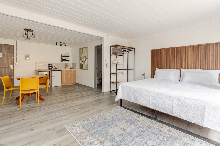 Modern Loft Of Costa Rican Heritage #104 - San José, Costa Rica