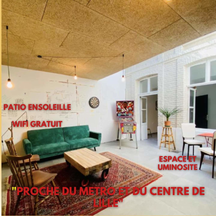 Oasis Urbaine : Charmant Appart. Spacieux + Patio - Lille