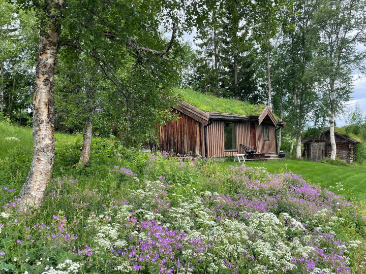 Great Cabin In Budalen. 1 Hour From Trondheim! - Norway