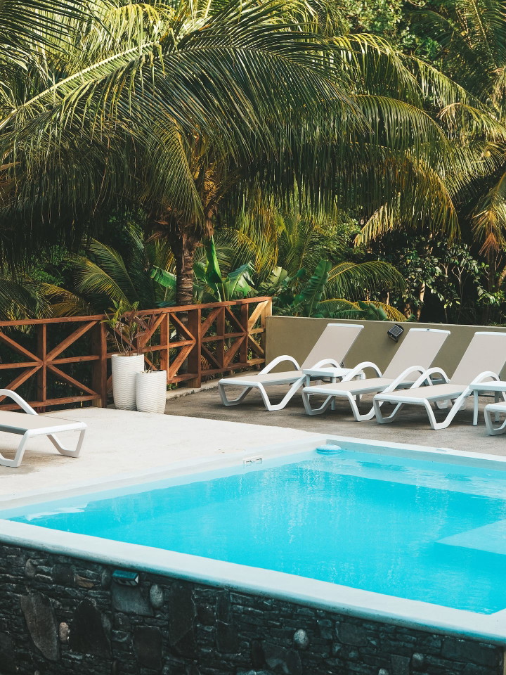 Seashell Suite Beachfront With Pool Access - Dominica