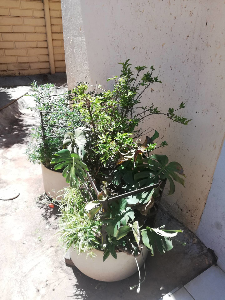 Star Accomodation - Lenasia