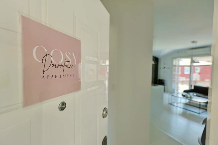 Cosy Downtown Apartment - 스코페