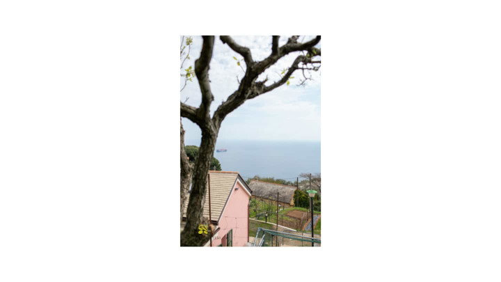 The House Among The Olive Trees For 4 People - Arenzano
