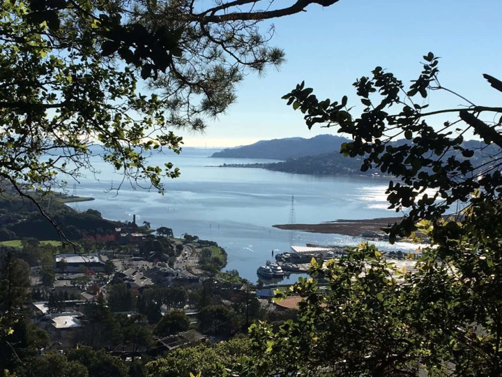 Earthly Oasis In Marin (64 Degrees & Parking) - San Rafael, CA