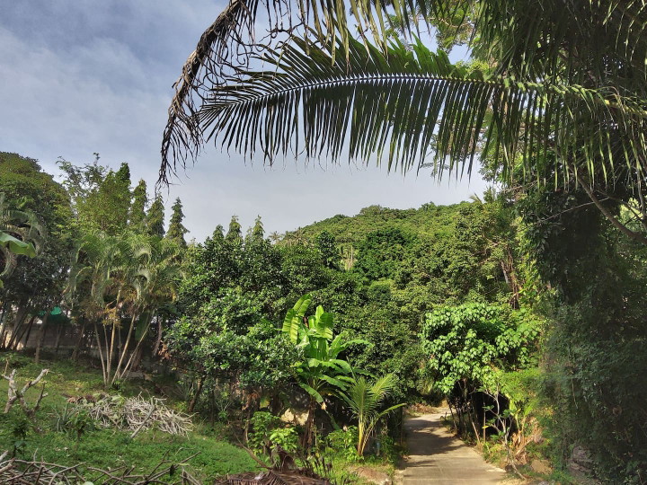 Baan Klang Suan 206 - Ko Samui