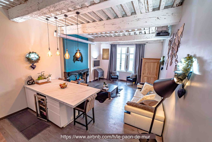 Loft "Le Paon De Mur" Chambéry Centre-ville - Chambéry