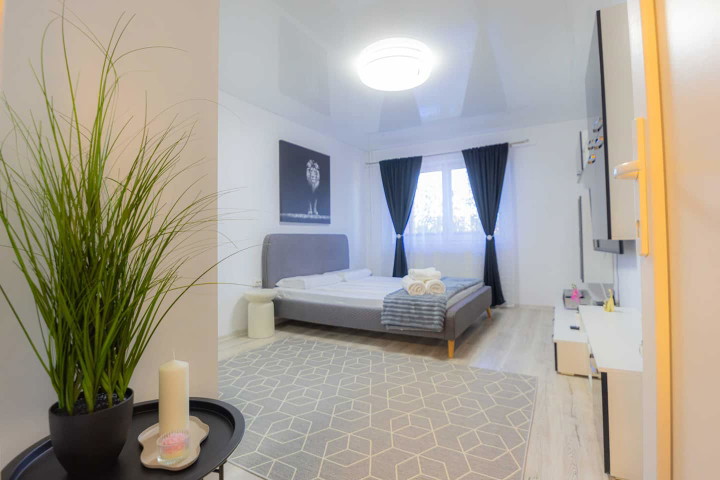 Modern Apartment Near Deta Thermal Spa - Deta
