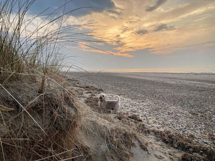 Turtledove Perfect For 2 Holme Beach - Hunstanton
