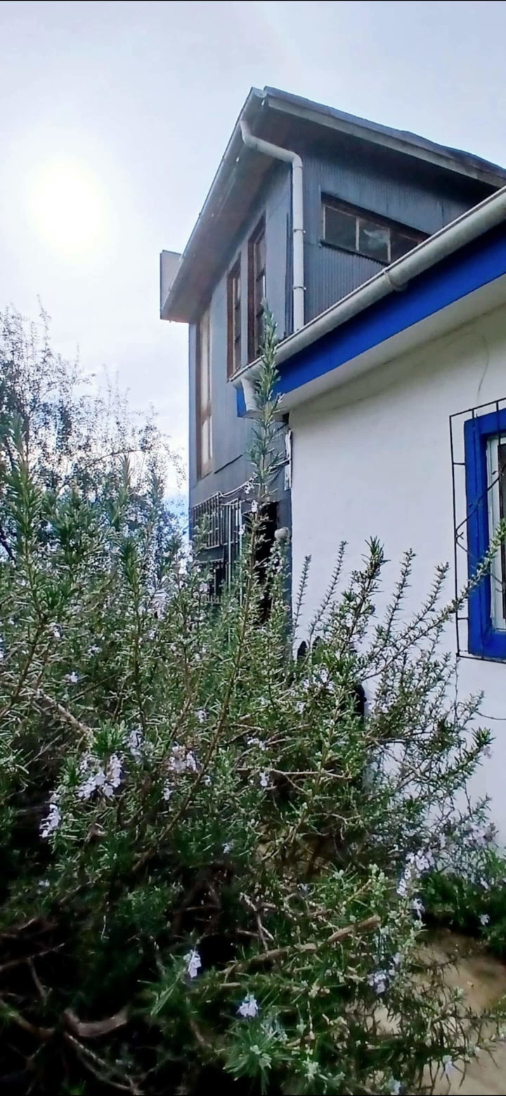 Entire Space Tinyi-house In Cerro Alegre - Valparaíso