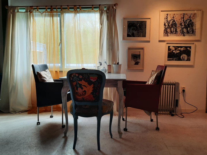 Zi-zz-art - B & B : Congenial Spot Along The River - Leeuwarden
