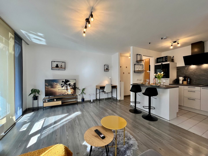 Kaiser City Apartment Downtown, 2 Rooms Balcony - Karlsruhe