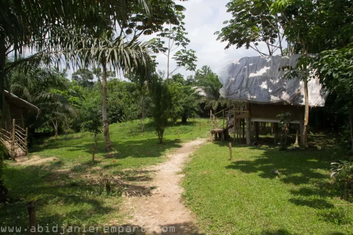 Cabane Sur Pilotis Immersion Complète En Nature - Côte d'Ivoire