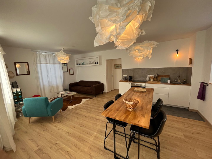 Appartement 50 M2 Rénové Centre Ville - Privas