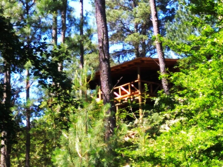 Shinkal Cabin, Forest, Creek, River, Vineyards - Argentina