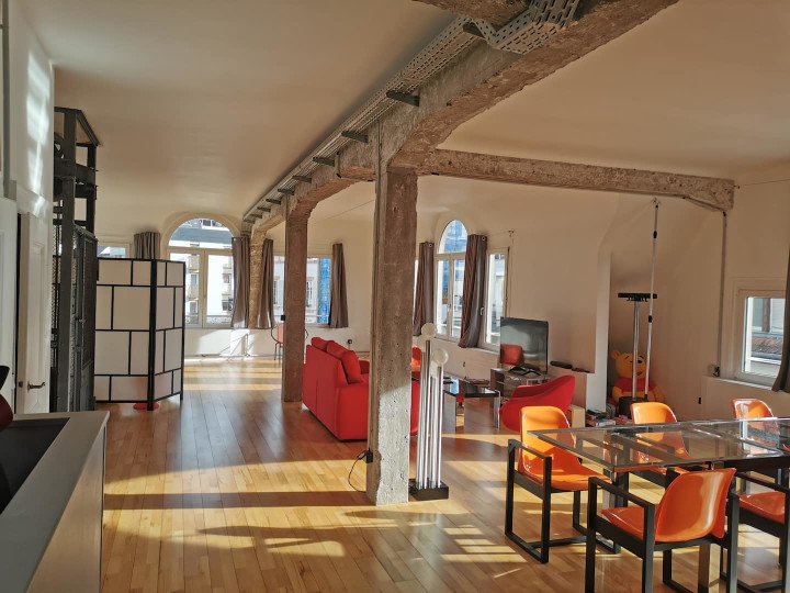 Superbe Loft Accès Direct Gare/centre Ville. . - Strasbourg