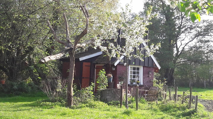 Huisje De Vrolijke Haan, Buitengebied Winterswijk. - Aalten