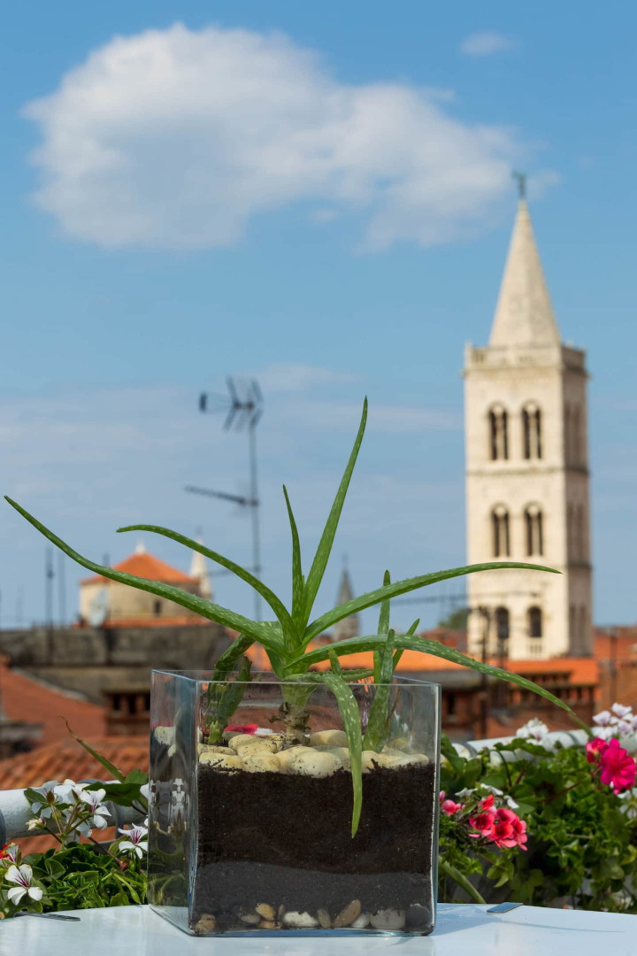 Apartment Anita - Old Town Of Zadar - Zadar