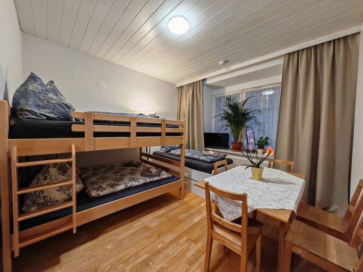 Central Apartment In Ground Floor - Innsbruck