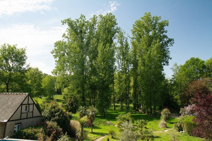 Les Ressources Du Vieux Moulin De Bisoizon: Gites - Josselin