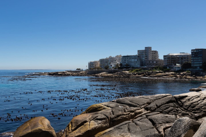 Modern On The Sea Apartment - Camps Bay