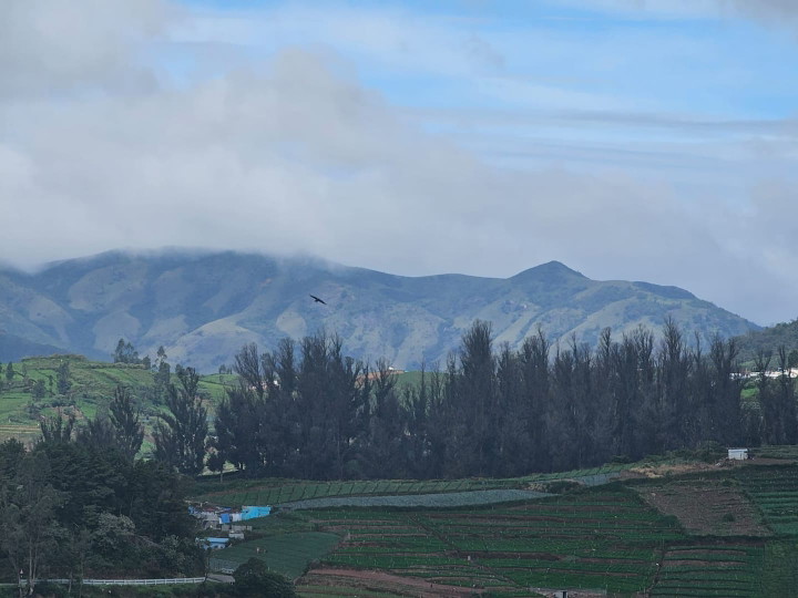 Maison Ar (Premier éTage) - Ooty