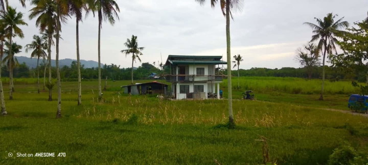 City Farm House - Sipalay