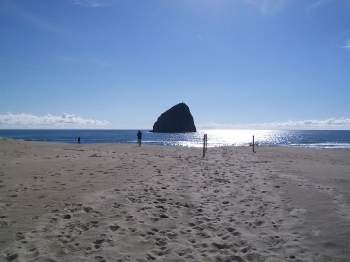 Surfer's Dream - Pacific City, OR