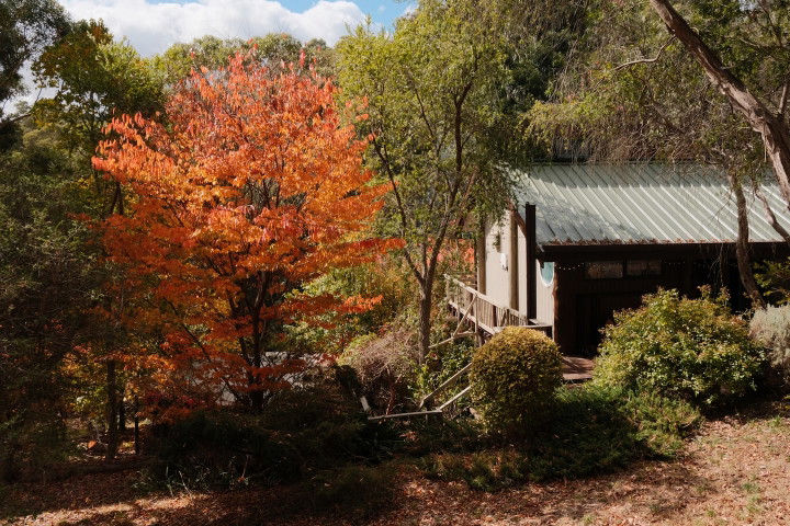Juniper Grove  Adelaide Hills Log Cabin - Adelaide Hills Council