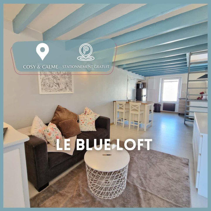 Le Blue Loft Duplex - Stationnement Gratuit - Bezannes