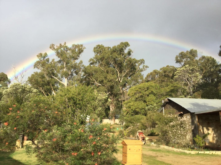 Bush Cottage Retreat - Western Australia