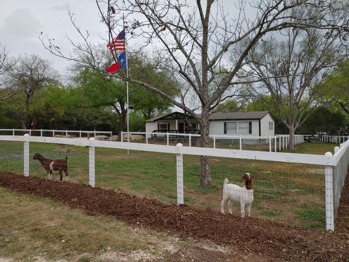 Country Goat House (1 Acre) - San Antonio