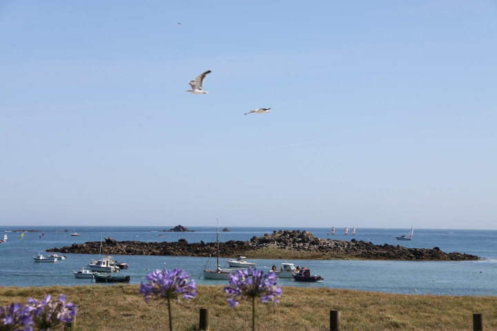 Maison Unique Les Pieds Dans L'eau - Vue Rare ! - Plouguerneau
