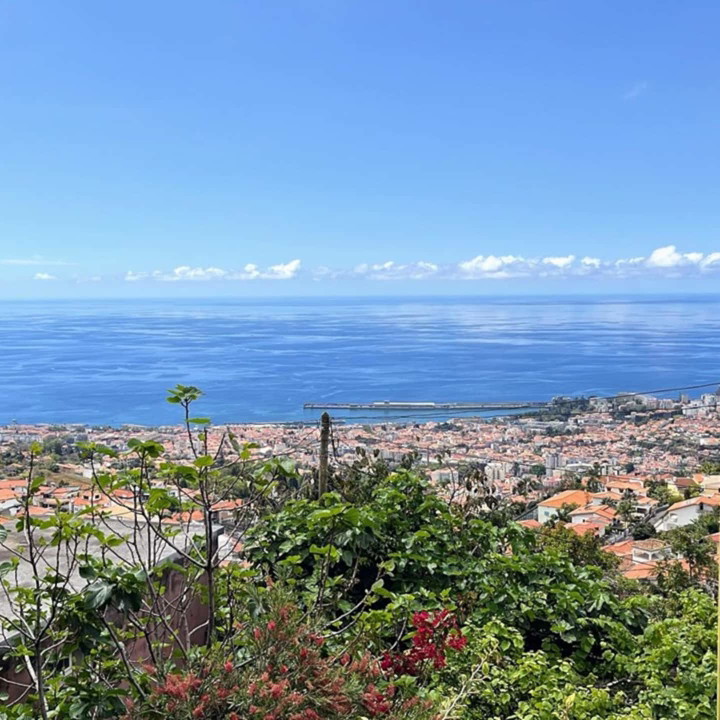 Casa D'avó Filó - Funchal