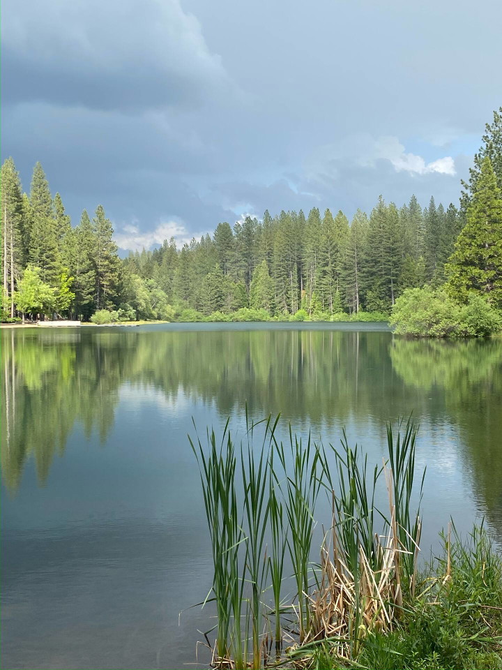 At The Lake Across From The Lakemont Pines Lake- - Arnold, CA