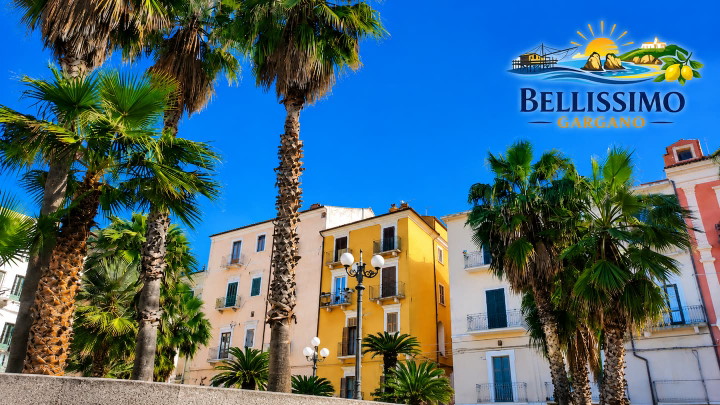Bellissima Rodi: Piazza Padre Pio E Vicina Al Mare - Rodi Garganico