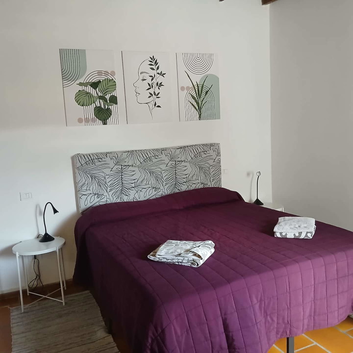Room Garden - Padua