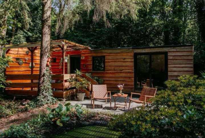Het Wilde Roodborstje Cozy Nature House Veluwe - Zwolle