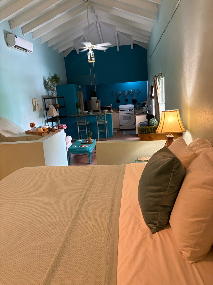 Spacious Studio King Bed Downtown Christiansted - Saint Croix