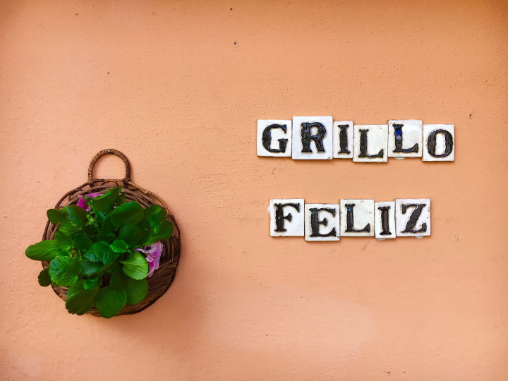 Logement De Vacances El Grillo Feliz - Tenerife