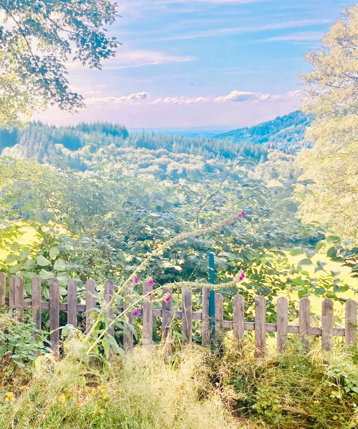 La Maison Des Artistes En Forêt - Ambert