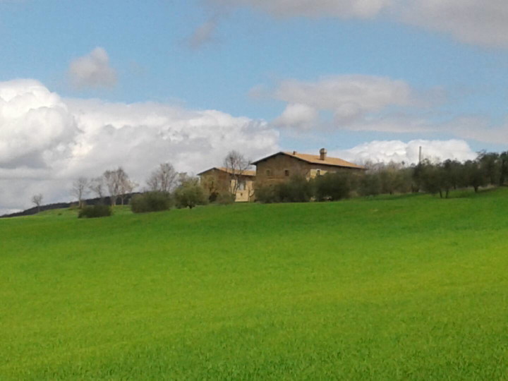 Montello 3 Apartment - Pienza