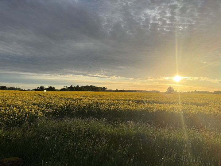 Lägenhet På Landet Med Egen Uteplats - Lidköping