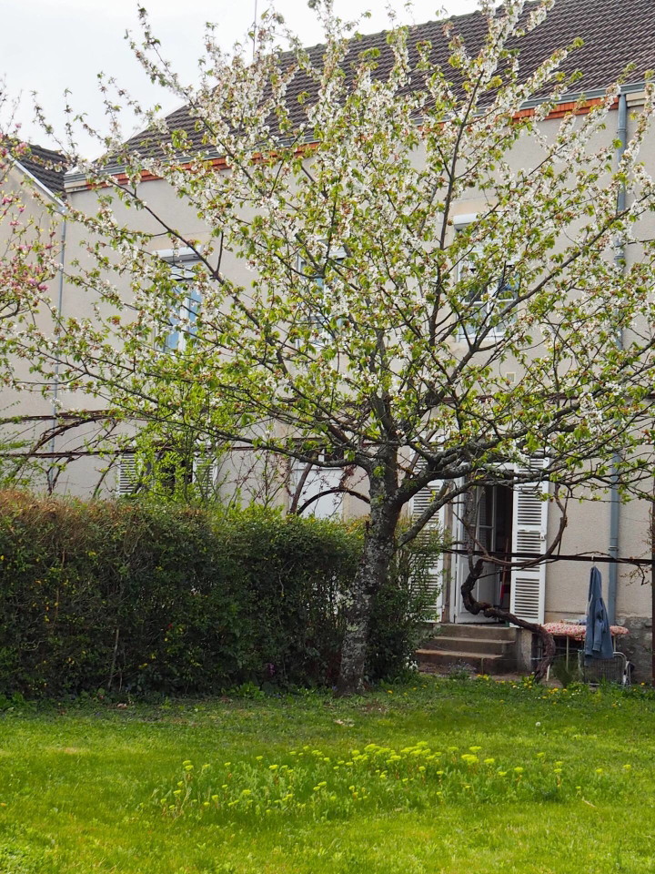 La Ptite Fabrique Chez Malo, Gîte Et Jardin - Montceau-les-Mines