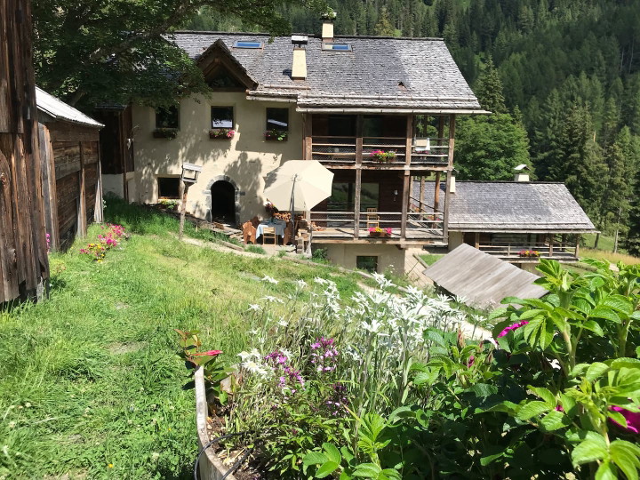 Chalet Cesa Del Louf - Canazei