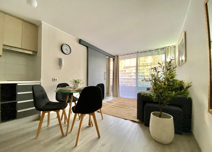 Parking, A. Acondicionado, Gym, Wifi, Metro. - Santiago, Chile
